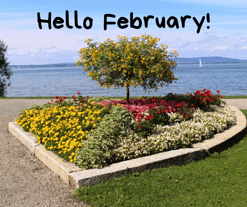 8 Reasons Why February is So Special! - Made You Smile Back