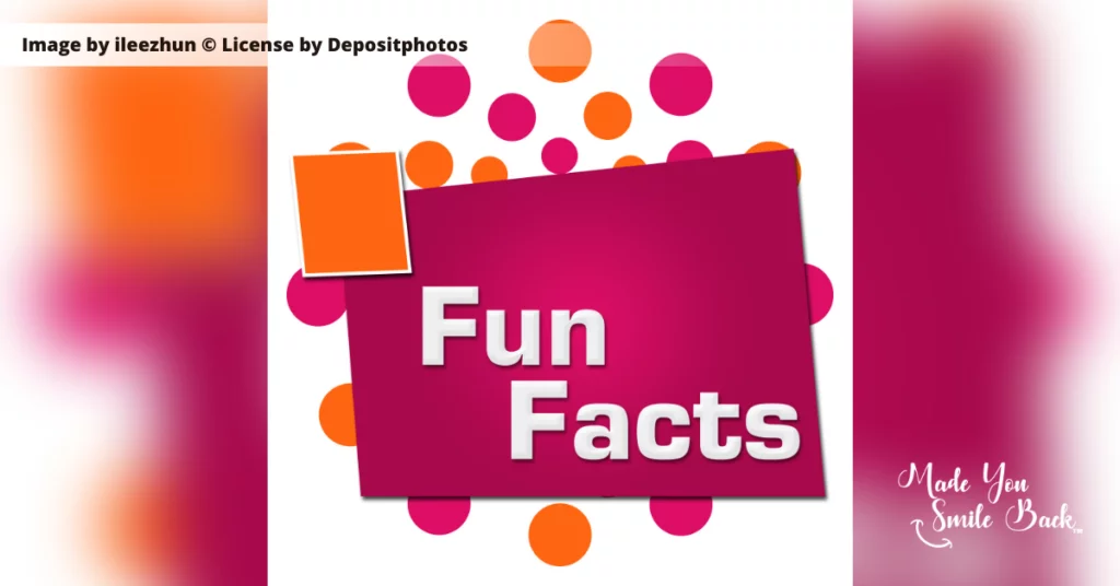 Amazing Fun Facts About May You Will Love - Made You Smile Back