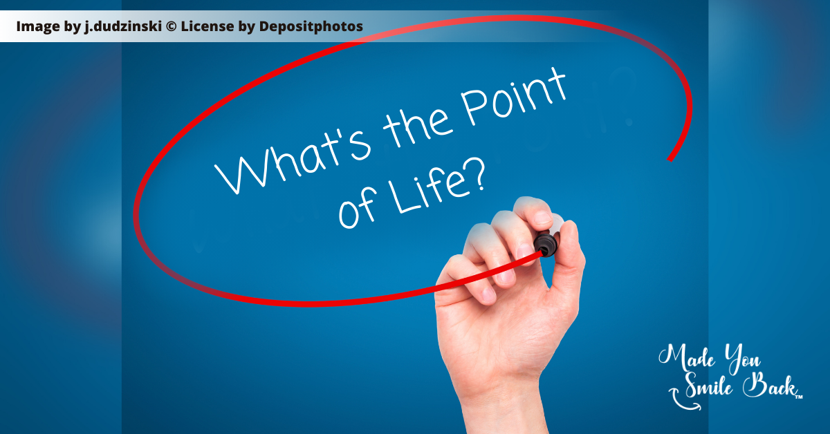 The Ultimate Question - What is the Point of Life? - Made You Smile Back