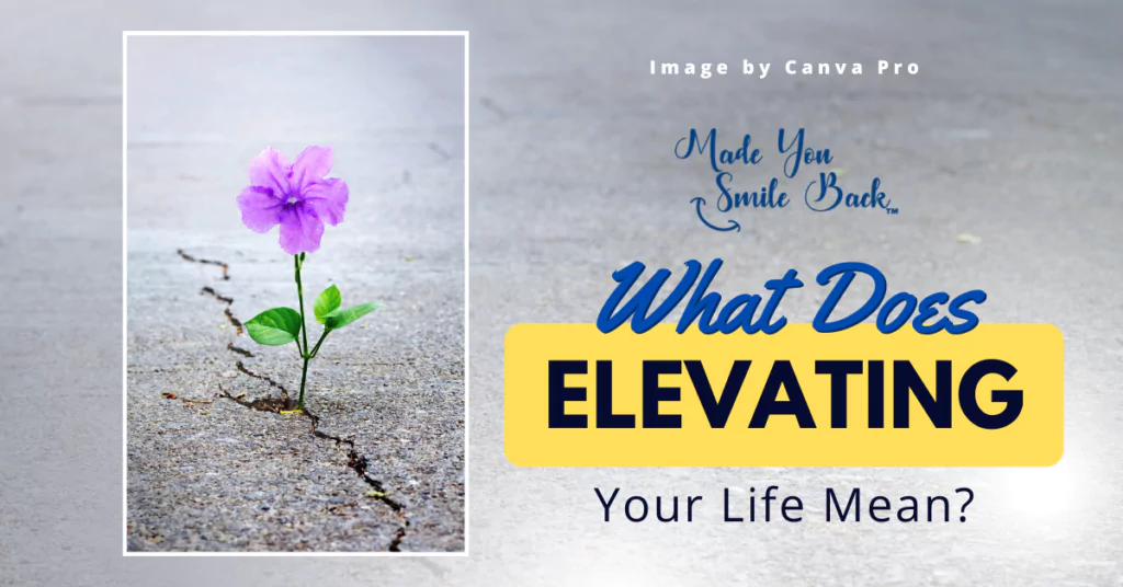 Game-Changing Tips on How to Elevate Your Life - Made You Smile Back